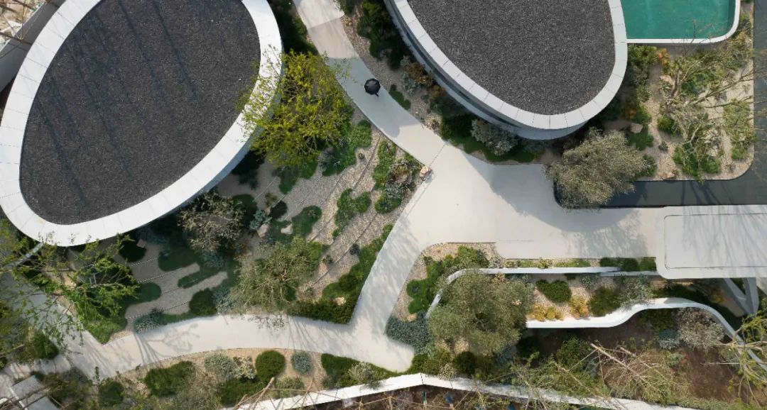 成都麓湖·C19鸿鹄岸样板岛 | JTL加特林 ARCHINA 项目