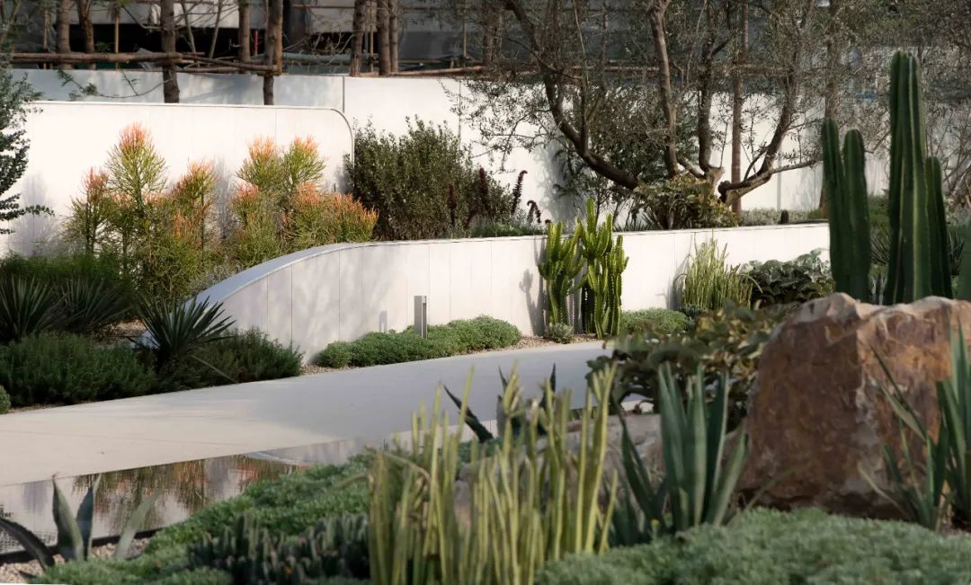 成都麓湖·C19鸿鹄岸样板岛 | JTL加特林 ARCHINA 项目