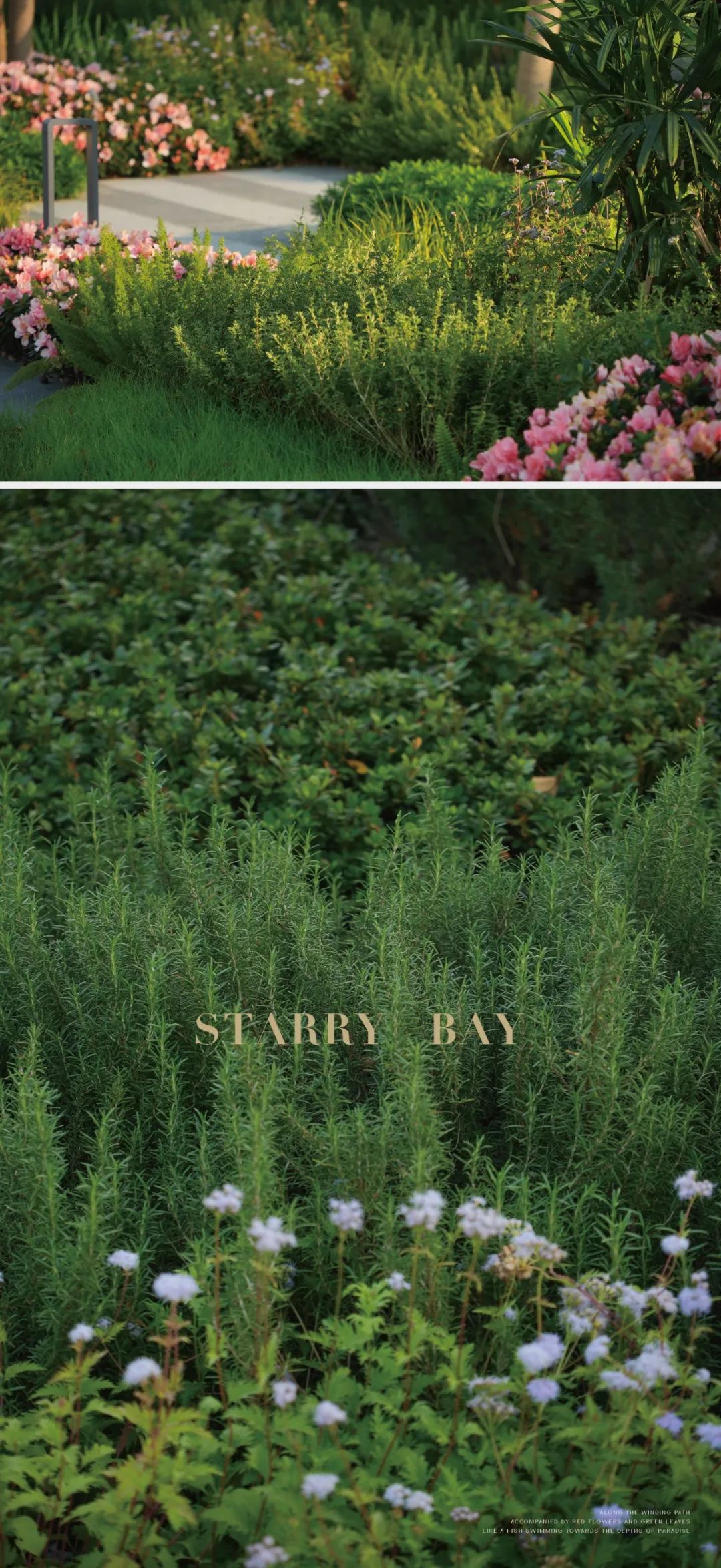 苏州仁恒•滨湖湾 | GVL怡境国际设计集团 ARCHINA 项目