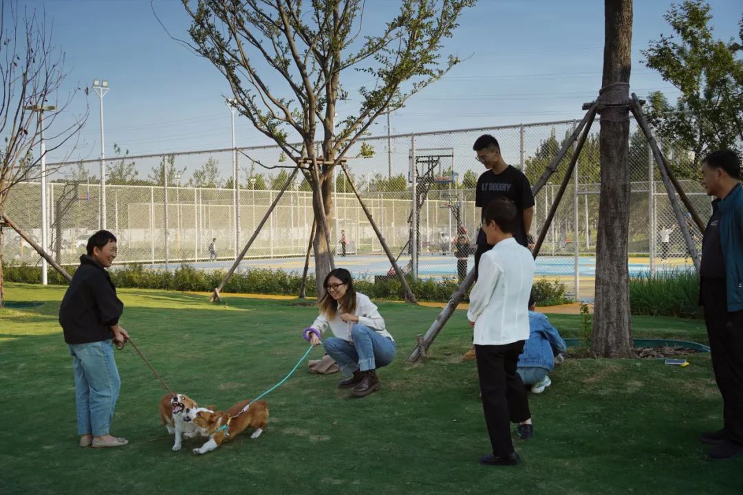 济宁汶上银星公园 | GED格境设计 ARCHINA 项目