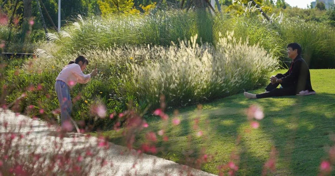 济宁汶上银星公园 | GED格境设计 ARCHINA 项目