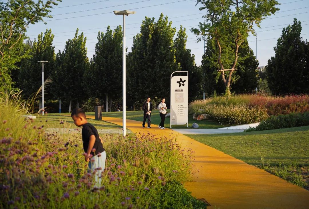 济宁汶上银星公园 | GED格境设计 ARCHINA 项目